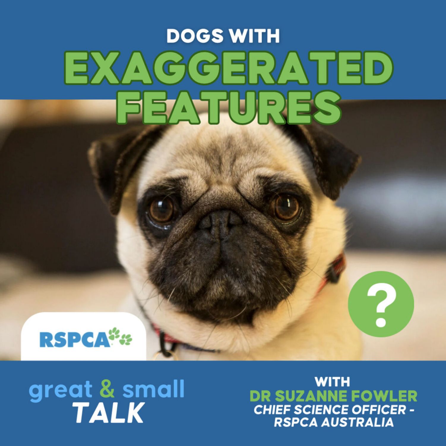 Dogs with exaggerated features | RSPCA Australia