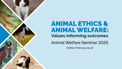 Why is it so important to desex your pet? | RSPCA Australia