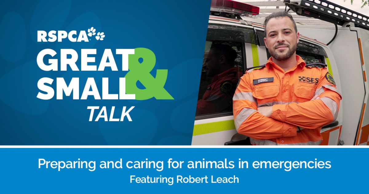 Preparing and caring for animals in emergencies | RSPCA Australia