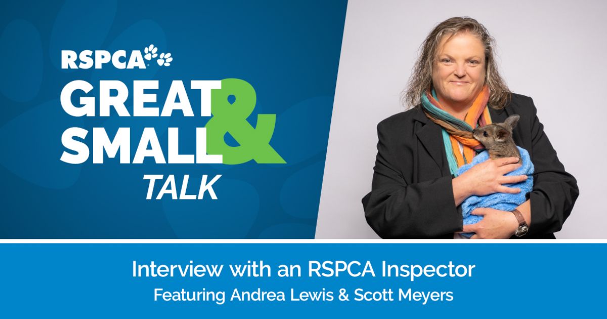 Stories from the RSPCA Inspectorate
