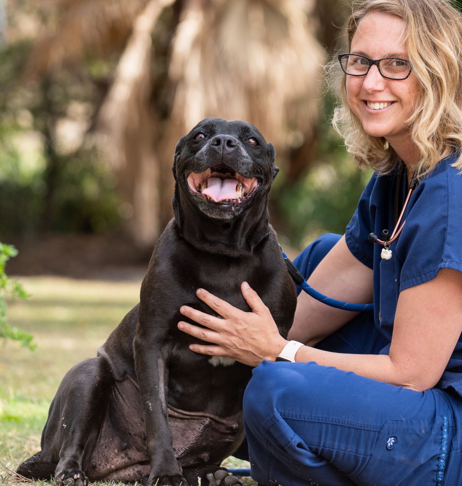 Caring for animals | RSPCA Australia