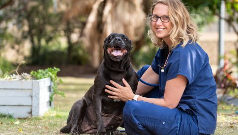 Why is it so important to desex your pet? | RSPCA Australia