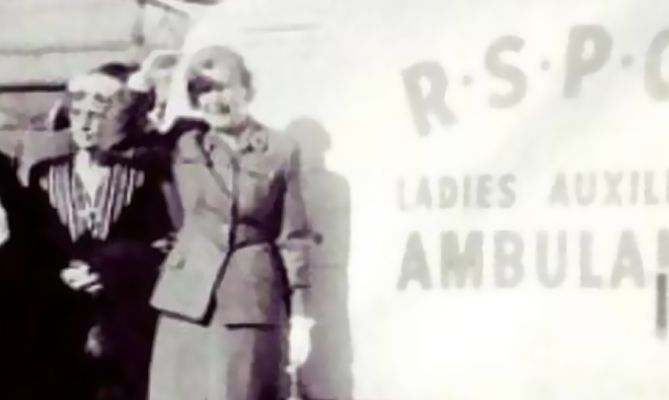 About | RSPCA Australia