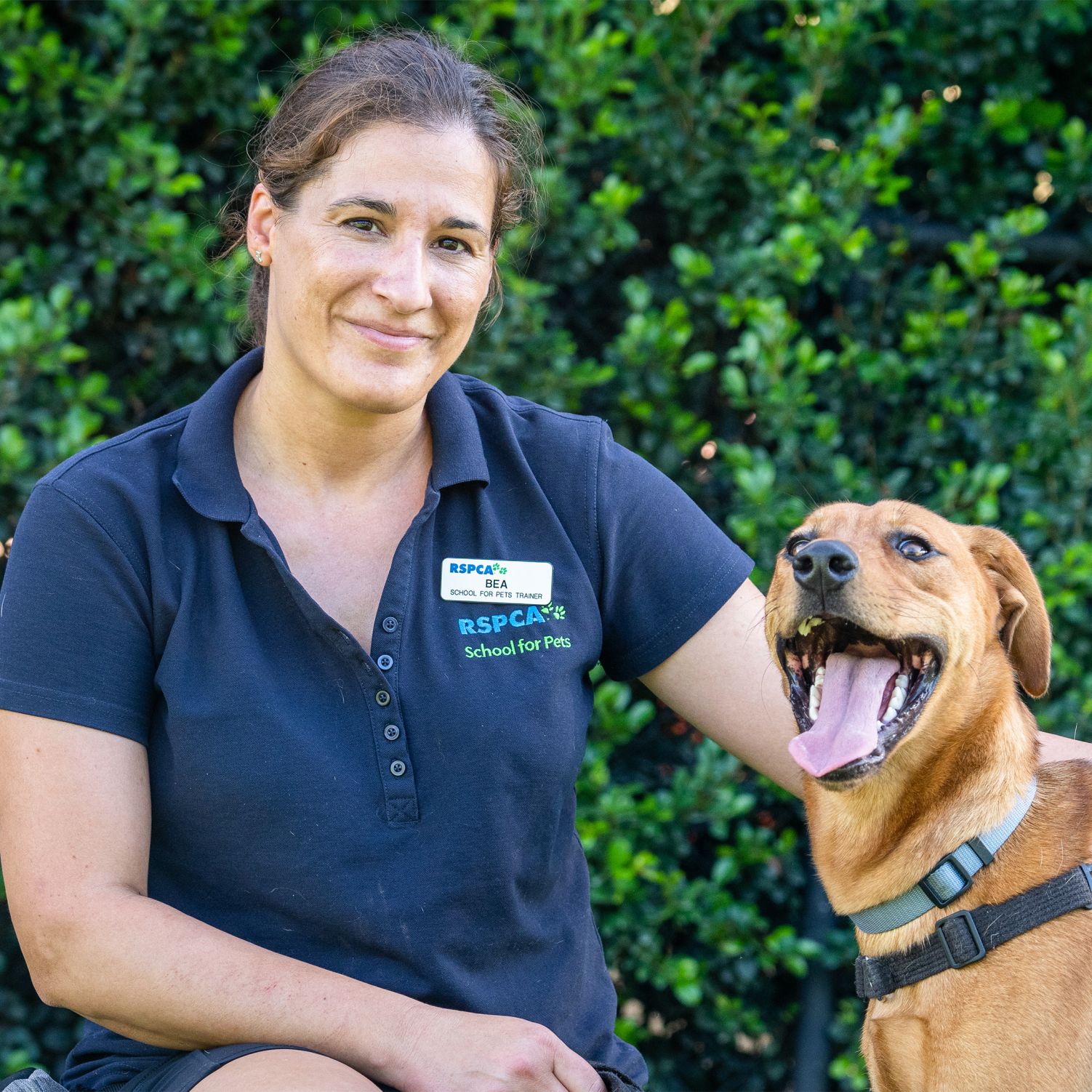 What we stand for | RSPCA Australia