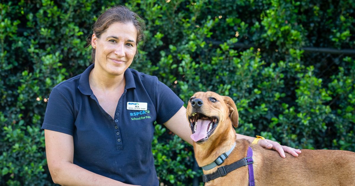 What we stand for | RSPCA Australia