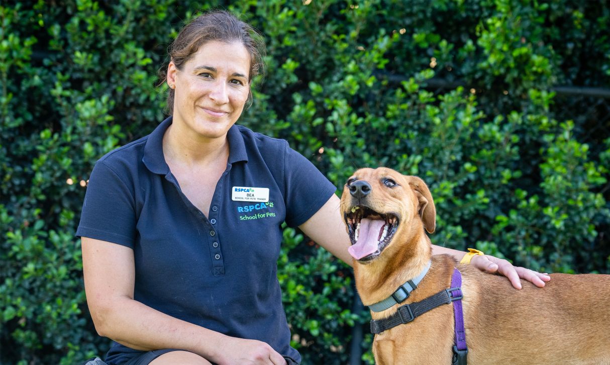 About | RSPCA Australia