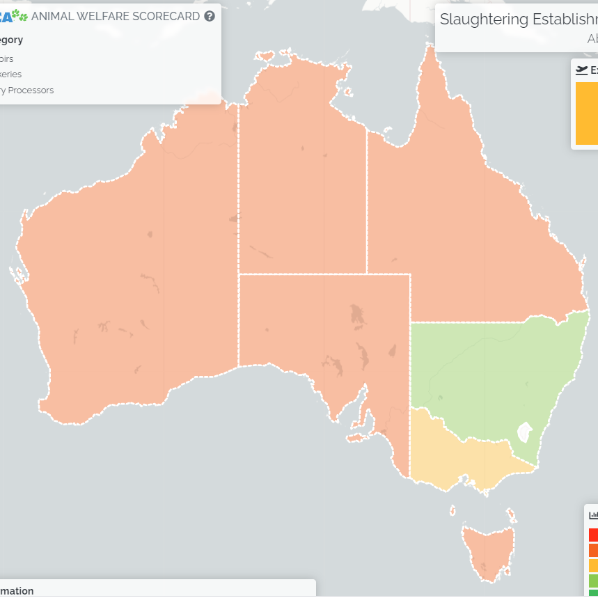 Simplifying animal welfare regulation | RSPCA Australia
