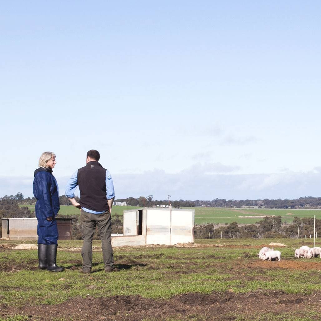 Why does the RSPCA have an RSPCA Approved Farming Scheme? | RSPCA Australia