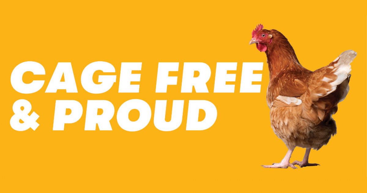 Cage free and proud | RSPCA Australia