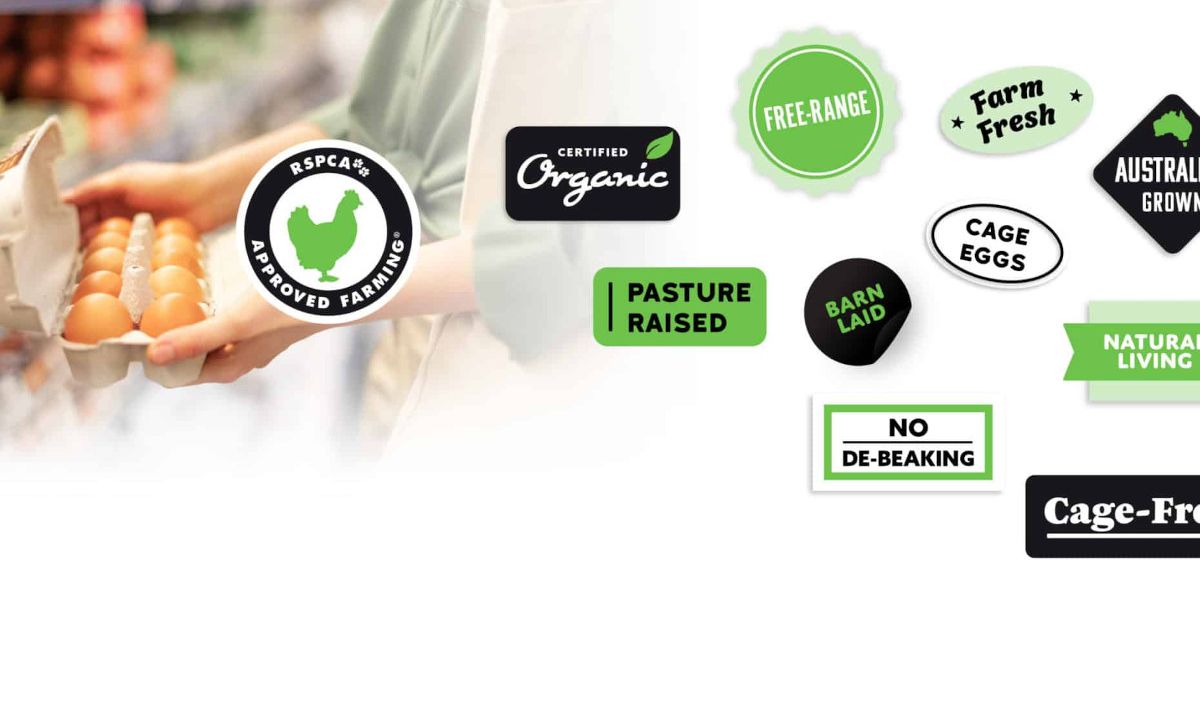 The many layers of layer hen welfare | RSPCA Australia