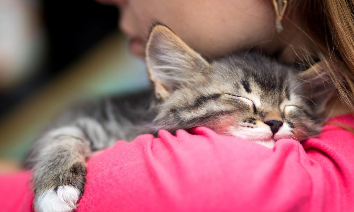 Support us | RSPCA Australia