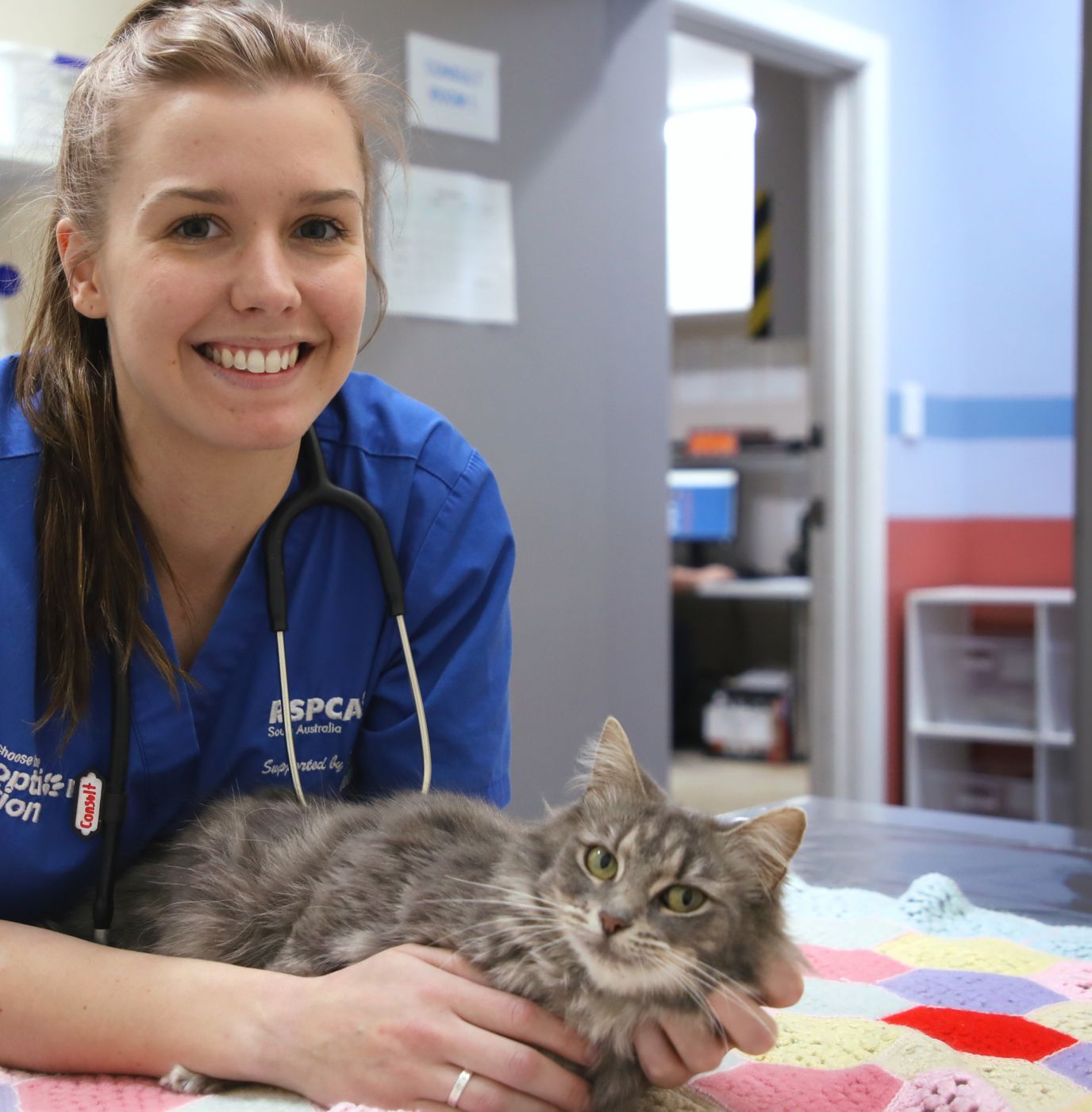 Workplace giving | RSPCA Australia