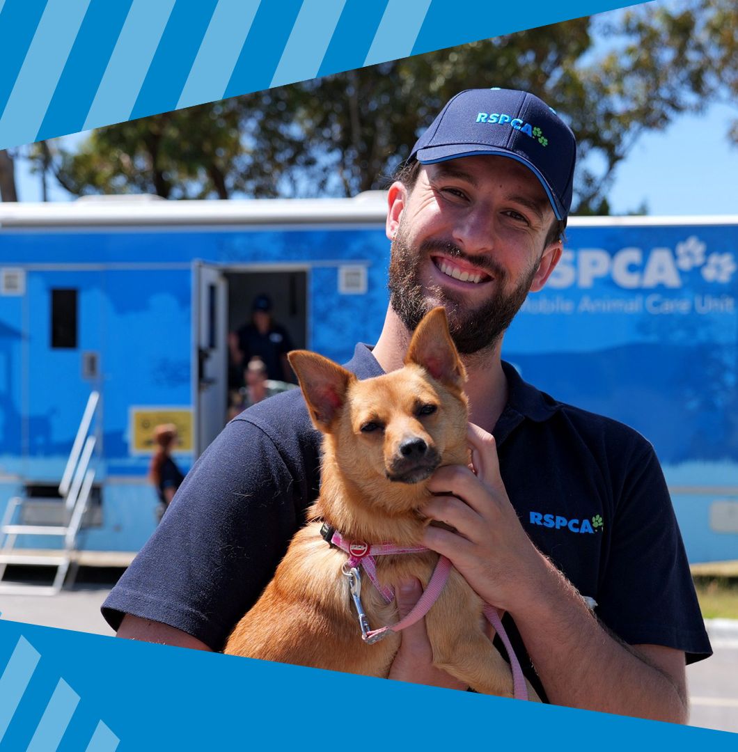 RSPCA Workplace Giving